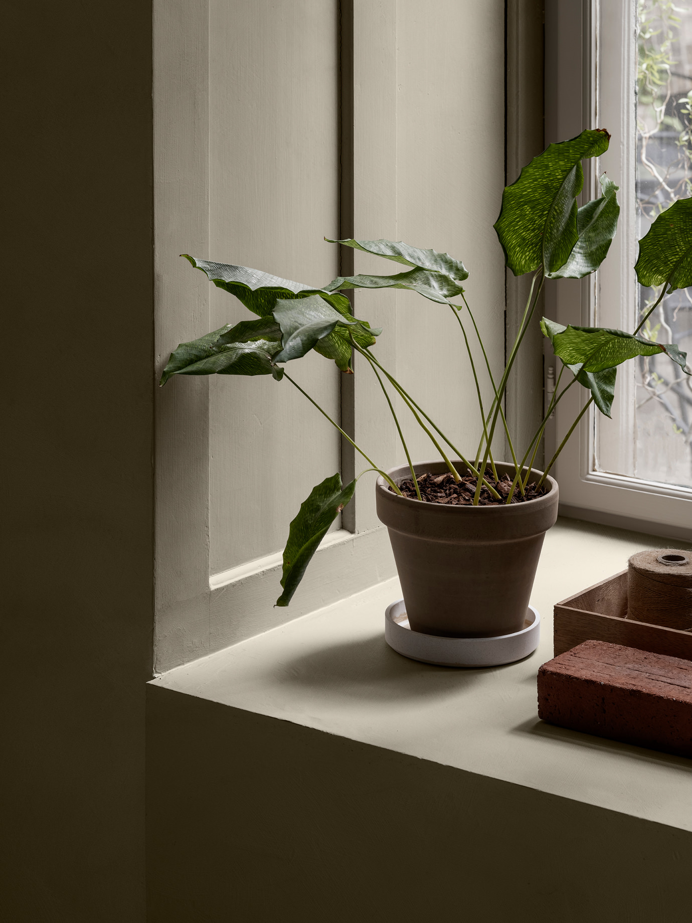 NIELS STRØYER FOR RUM - Sumo